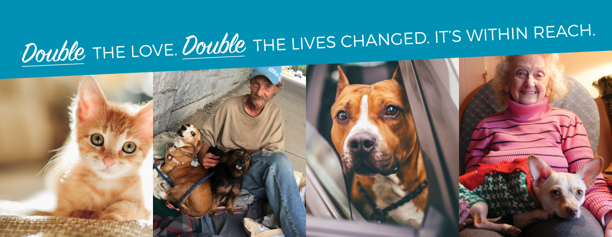 Matching Gift Campaign - Matching Gift Campaign